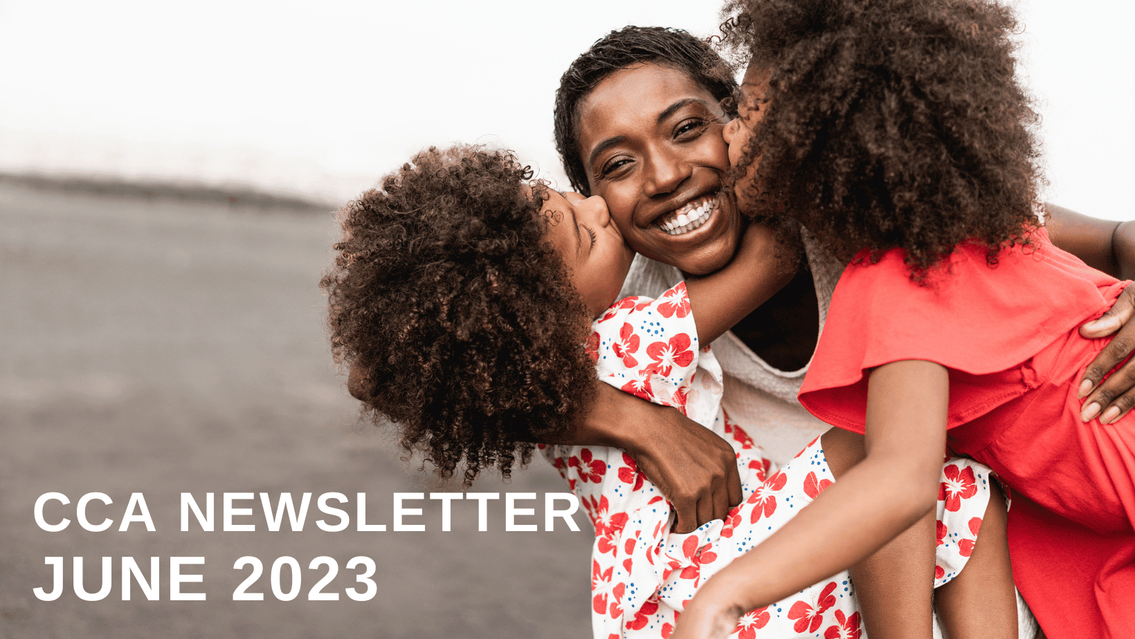 June 2023 Newsletter Major Legislative Accomplishments in our 25th ...